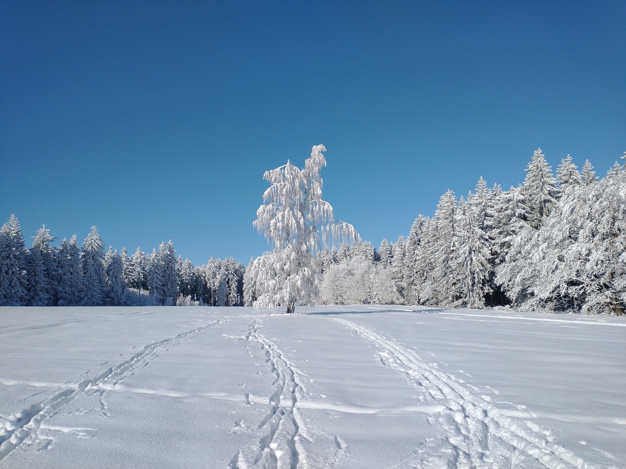 Cytat z Biblii dla ciebie na dziś 18 stycznia 2026